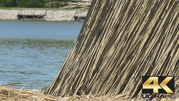 Building Reed near Lake, Stock Footage | VideoHive