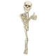 Thumbs Up Cartoon Halloween Sign Skeleton, Vectors | GraphicRiver