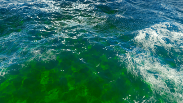 The Ocean, Motion Graphics | VideoHive