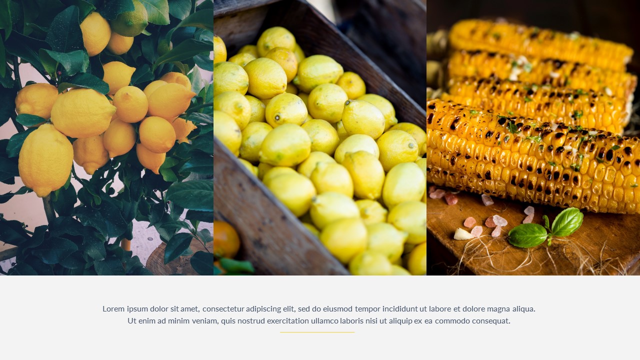 Big Bundle - Creative Googe Slide Template, Presentation Templates