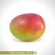 Realistic Mango Fruit Vector, Vectors | GraphicRiver