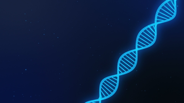 Blue DNA Strand, Motion Graphics | VideoHive