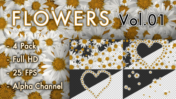 Flowers Vol.01, Motion Graphics | VideoHive