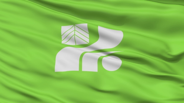 Tochigi Prefecture Waving Flag, Motion Graphics | VideoHive