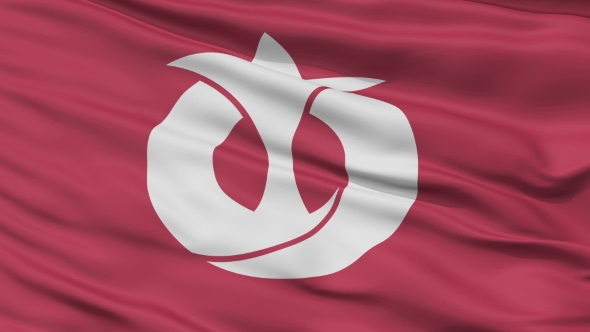 Aichi Prefecture Waving Flag, Motion Graphics | VideoHive