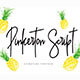 Pinkerton Script, Fonts | GraphicRiver