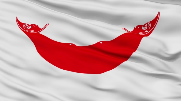 Waving National Flag of Easter Islands, Motion Graphics | VideoHive