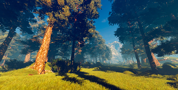 Coniferous Forest And Mountains, Motion Graphics | VideoHive