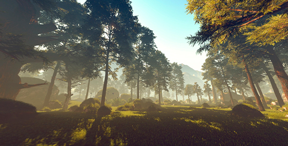 Night Forest, Motion Graphics | VideoHive