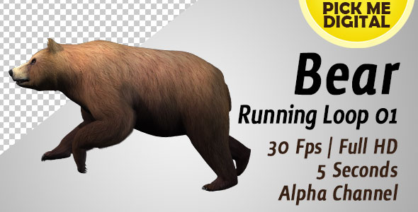 Bear Running Loop 01, Motion Graphics | VideoHive