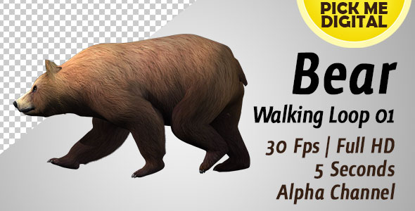 Bear Walking Loop 01, Motion Graphics | VideoHive
