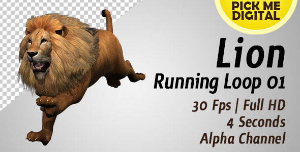 Lion Running Loop 01, Motion Graphics | VideoHive