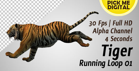 Tiger Running Loop 01, Motion Graphics | VideoHive