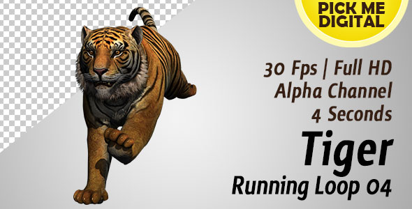 Tiger Running Loop 04, Motion Graphics | VideoHive