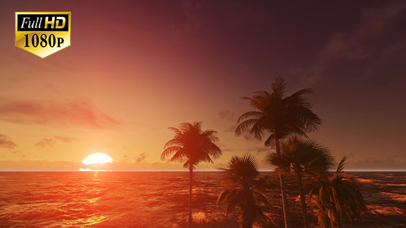 Tropical Beach Sunset 4, Motion Graphics | VideoHive