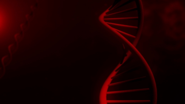 Red DNA Strand - 3D , Motion Graphics | VideoHive