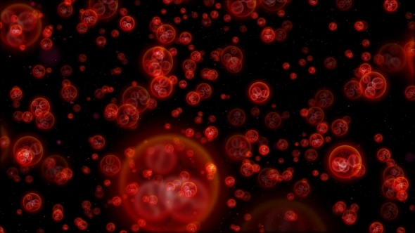 Micro Red DNA Cell, Motion Graphics | VideoHive