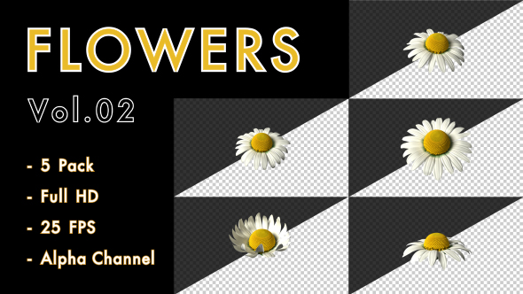 Flowers Vol.02, Motion Graphics | VideoHive