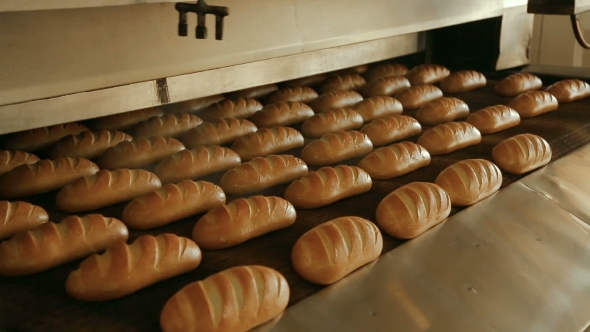 Loaf of Bread on the Production Line in the Bakery, Stock Footage ...