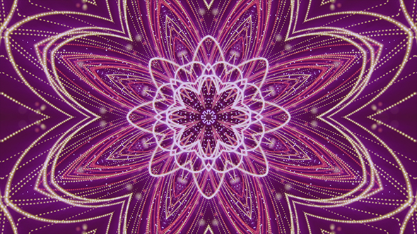 Purple Mystic Flower, Motion Graphics | VideoHive