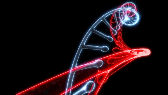 Model DNA Rotate on Black Able To Loop Seamless, Motion Graphics ...