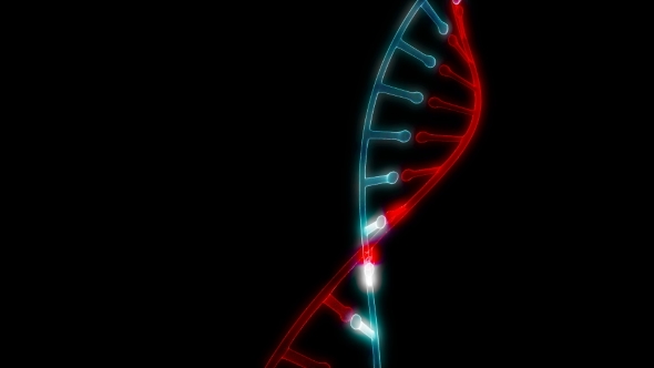 Model DNA Rotate on Black Able To Loop Seamless, Motion Graphics ...