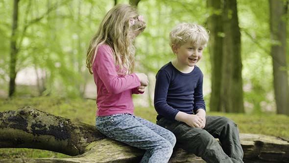 Two Children Sitting In Forest, Stock Footage | VideoHive