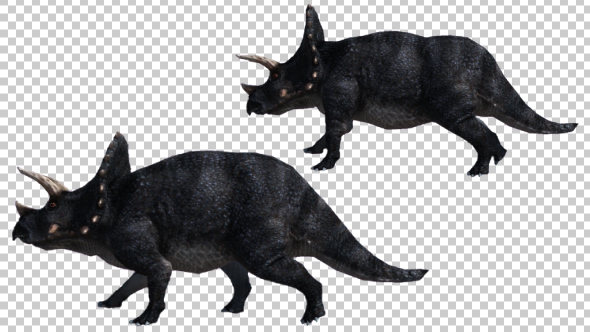 Dinosaur - Triceratops Walk and Run, Motion Graphics | VideoHive