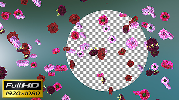 Flowers Falling Loop Background, Motion Graphics | VideoHive