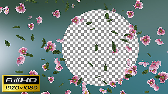 Flowers Falling Background, Motion Graphics | VideoHive