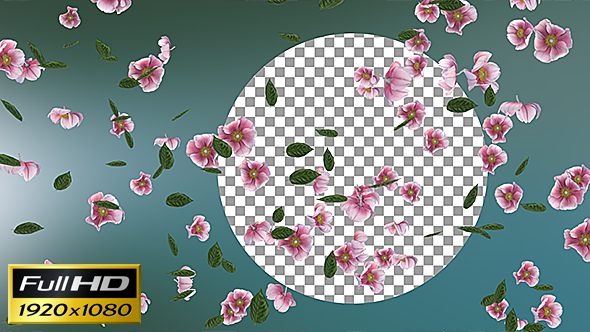 Flowers Falling Loop Background, Motion Graphics | VideoHive