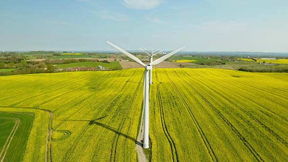 White Windmills Standing In A Field, Stock Footage | VideoHive