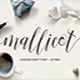 Mallicot Script, Fonts | GraphicRiver