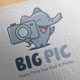 Big Picture Logo Design, Logo Templates | GraphicRiver