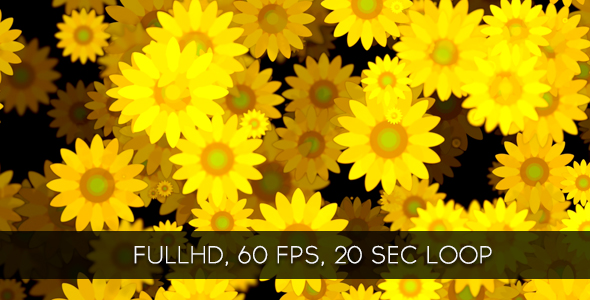 Sunflower Background, Motion Graphics | VideoHive