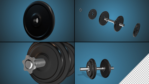 Dumbbell, Motion Graphics | VideoHive
