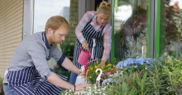 People Watering Flowers in Shop, Stock Footage | VideoHive