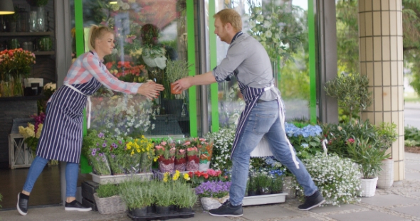 Coworkers Taking Care of Flowers, Stock Footage | VideoHive