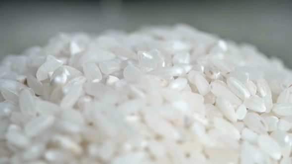 Drop Grains of Rice, Stock Footage | VideoHive