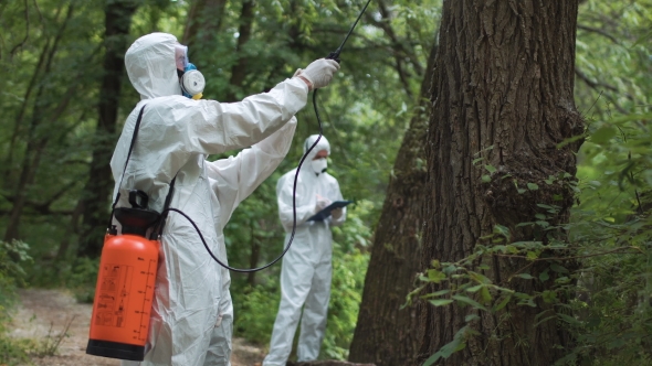 Ecologists Applying Treatment on Tree by FrameStock | VideoHive