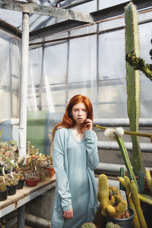 Young girl standing in a glass house full of cacti Stock Photo by ...