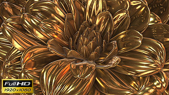 Gold Flower, Motion Graphics | VideoHive