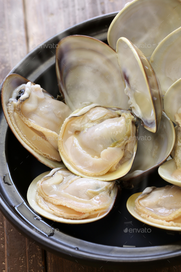 sake steamed japanese clams, hamaguri no sakamushi Stock Photo by motghnit