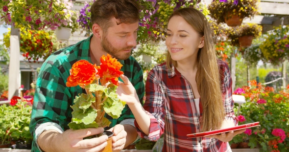 People Watching Flowers in Garden, Stock Footage | VideoHive