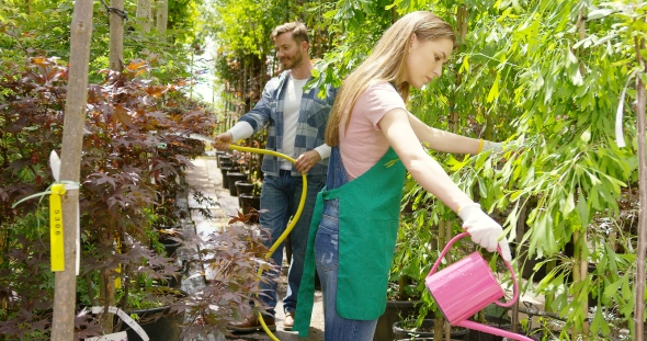 People Watering Flowers, Stock Footage | VideoHive