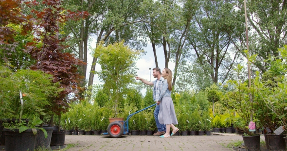 Gardeners Pushing Tree on Wagon, Stock Footage | VideoHive