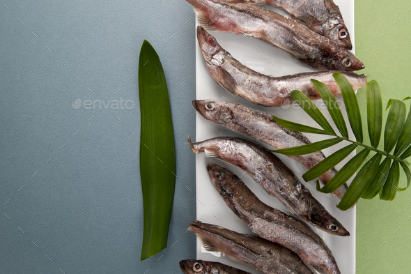 Raw fresh-frozen capelin close-up on a light blue-green backgrou Stock ...