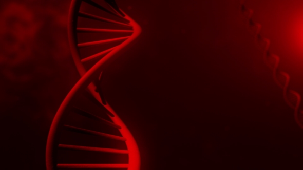 Red DNA Strand - 3D Animation, Motion Graphics | VideoHive