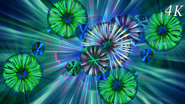 Macro Color 4K 04, Motion Graphics | VideoHive