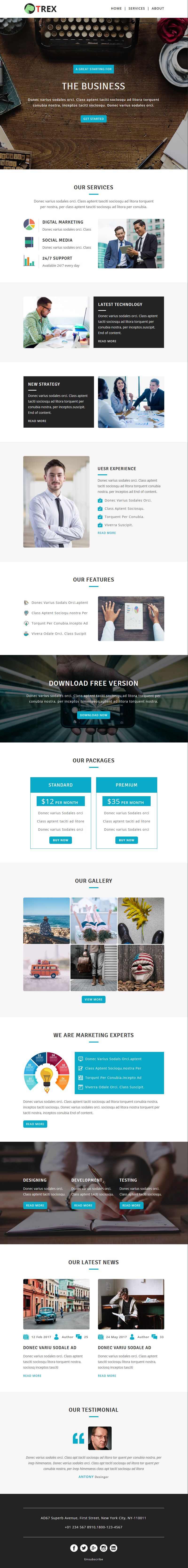TREX - Multipurpose Responsive Email Pack by fourdinos | ThemeForest